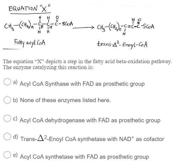 Solved EQUATION "X" CH₂ (CHA) - - Scot Cts-(CH2)n=ç=čač-S.A | Chegg.com