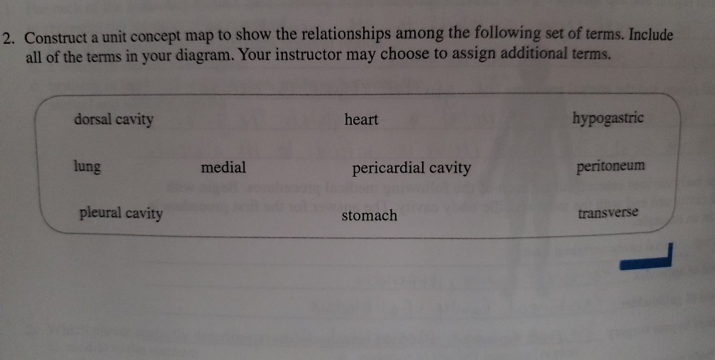Solved 2. Construct a unit concept map to show the | Chegg.com