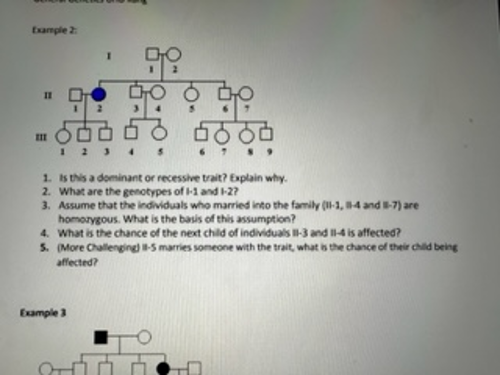 Solved 1. Is this a dominant or recessive trait? Goplain | Chegg.com