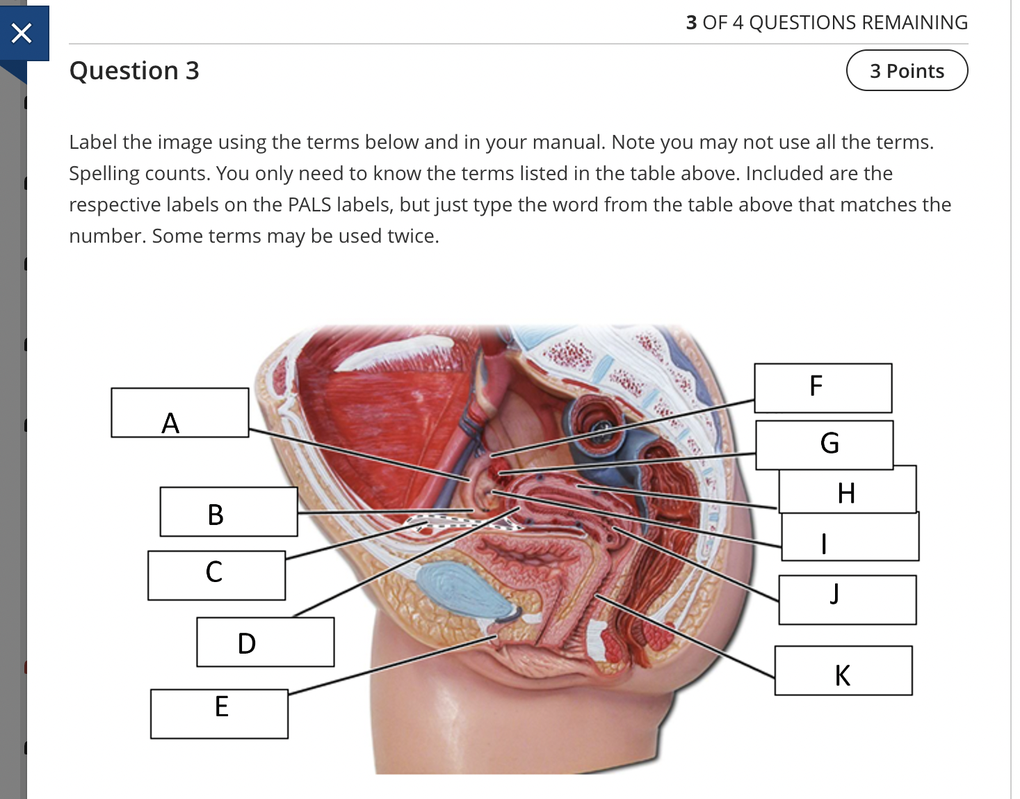 Solved Label the image using the terms below and in your | Chegg.com