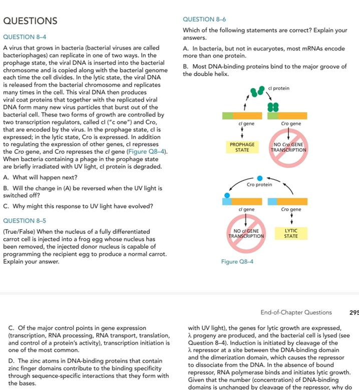 Solved QUESTIONS QUESTION 8-4 A virus that grows in bacteria | Chegg.com