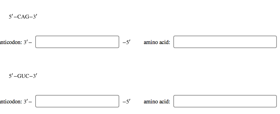 Solved For each codon, provide the anticodon and the | Chegg.com