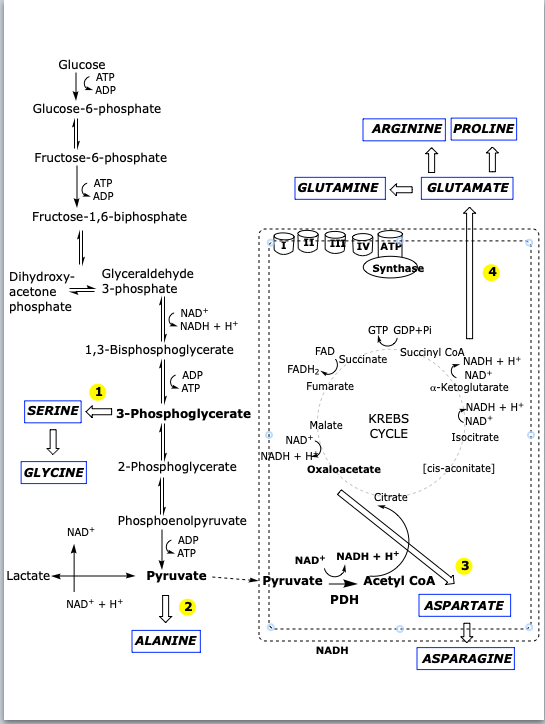 Solved 1. Pick the FALSE statement about the following | Chegg.com