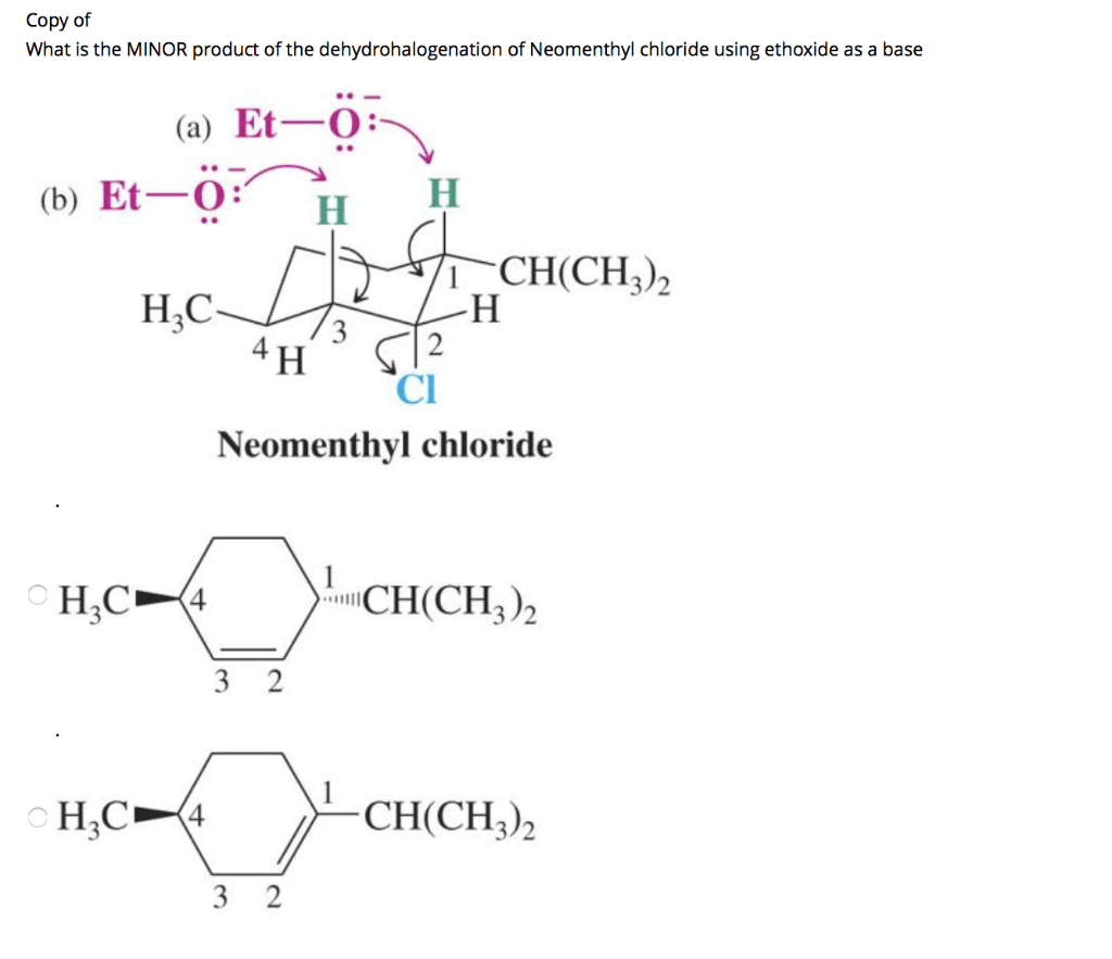 Solved Copy of What is the MINOR product of the | Chegg.com
