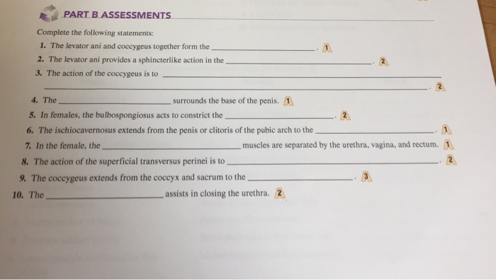 Solved PART B ASSESSMENTS Complete the following statements: | Chegg.com