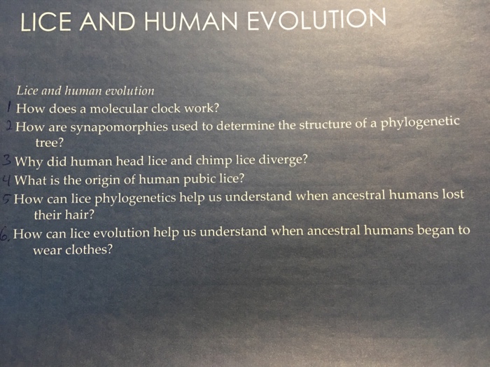 Solved LICE AND HUMAN EVOLUTION Lice and human evolution How | Chegg.com