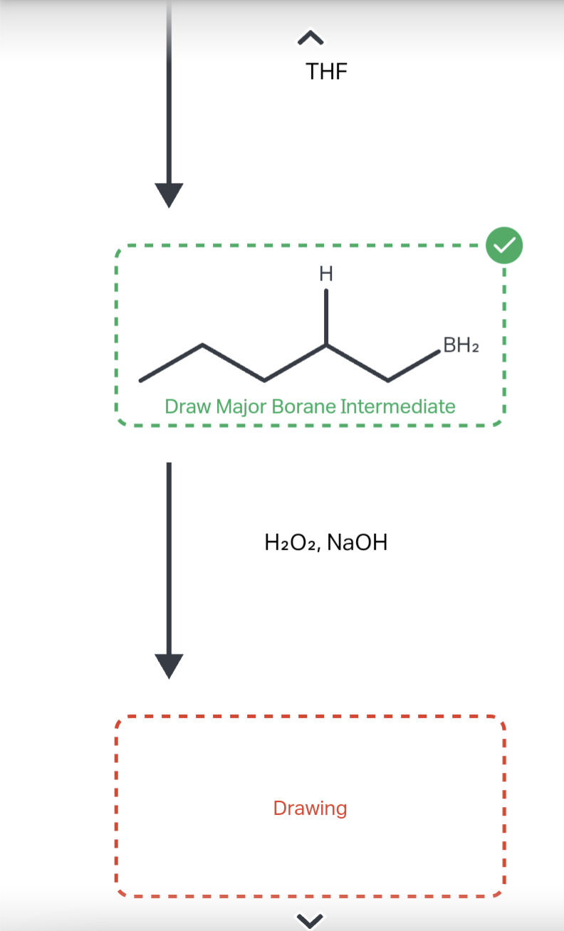 Solved THF Draw Major Borane Intermediate H2O2,NaOH | Chegg.com
