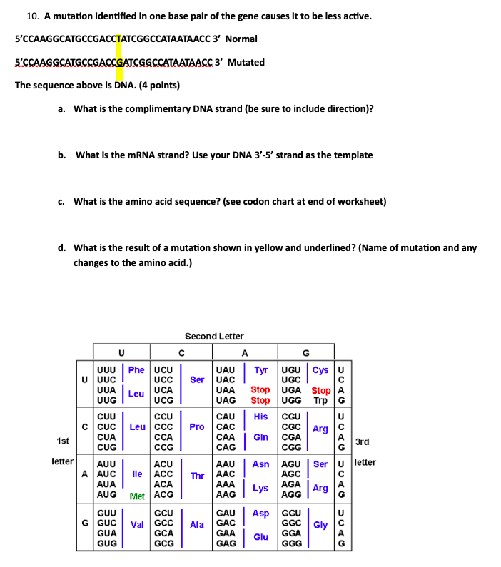 [Solved]: 10. A mutation identified in one base pair of th