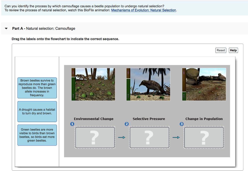 Solved The Labels Onto The Flowchart In The Correct O - vrogue.co Solved The Labels Onto The Flowchart In The Correct O - vrogue.co