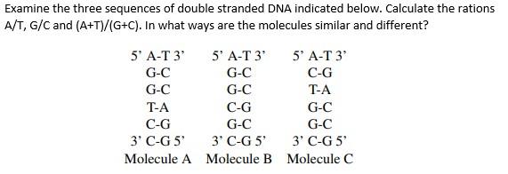 Solved Examine the three sequences of double stranded DNA | Chegg.com