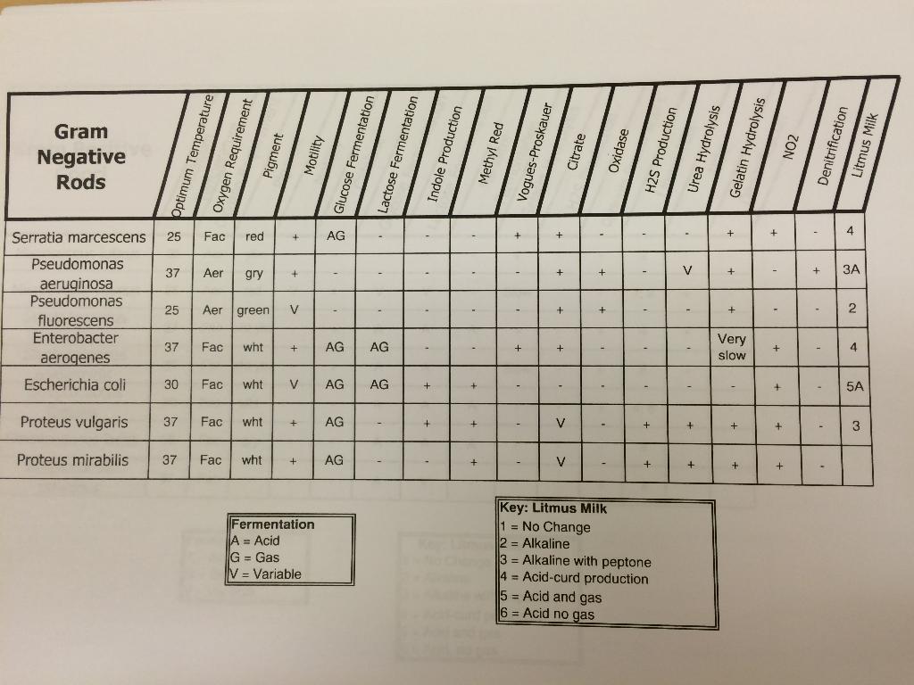 Solved Gram Negative Rods Pptimum Temperature Oxygen | Chegg.com