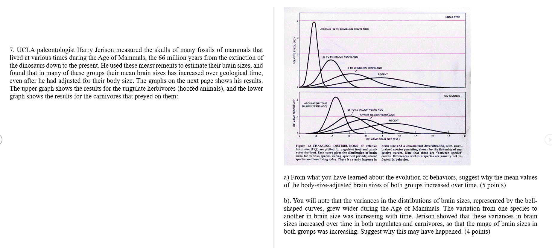 Solved 7. UCLA paleontologist Harry Jerison measured the | Chegg.com