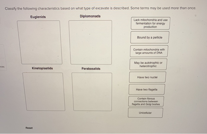 Solved Classify the following characteristics based on what | Chegg.com