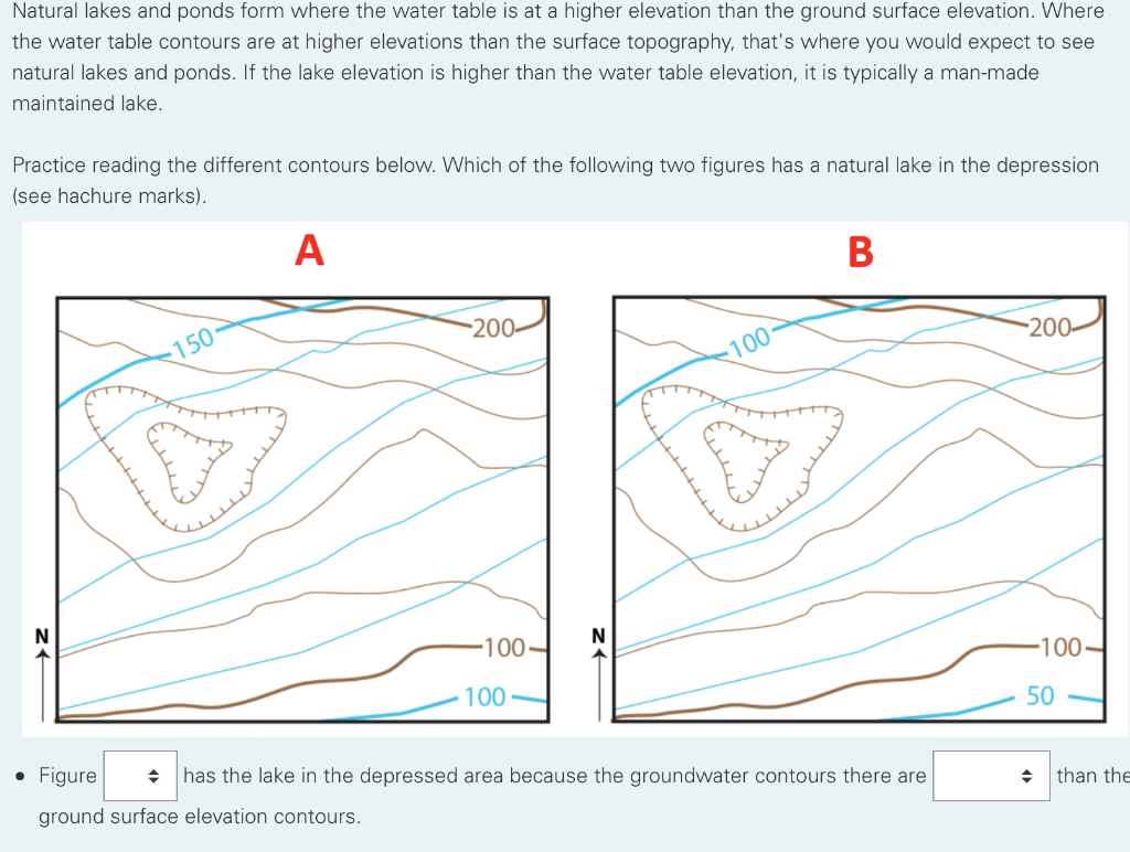 Solved Natural lakes and ponds form where the water table is | Chegg.com