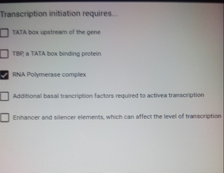 Solved Transcription initiation requires... TATA box | Chegg.com