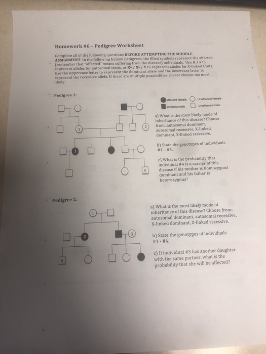 Solved Homework #6-Pedigree Worksheet Complete all of the | Chegg.com