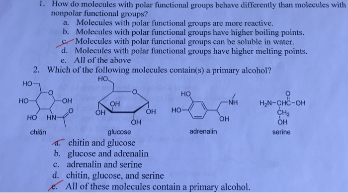 Solved 1. How do molecules with polar functional groups | Chegg.com