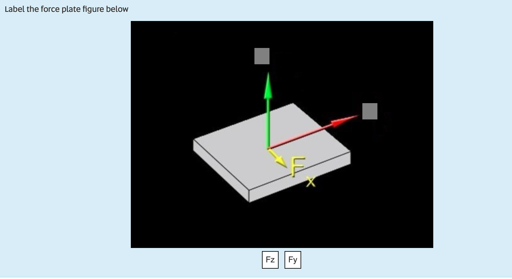 Solved Label the force plate figure below Fz Fy | Chegg.com