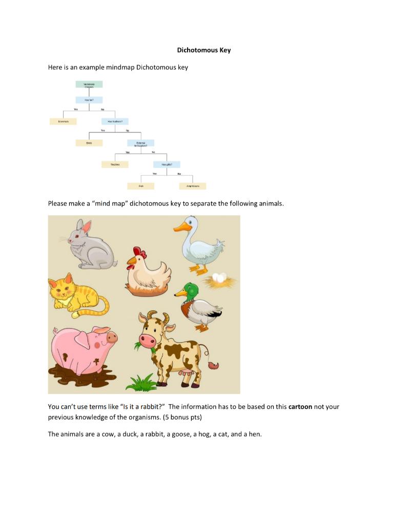 Solved Dichotomous Key Here is an example mindmap | Chegg.com