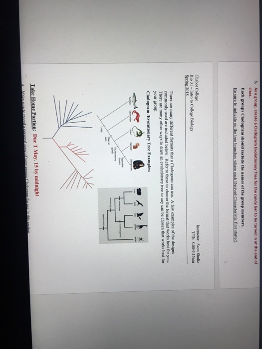 Solved INSTRUCTIONS 1. Split into groups of 4-6. 2. As a | Chegg.com