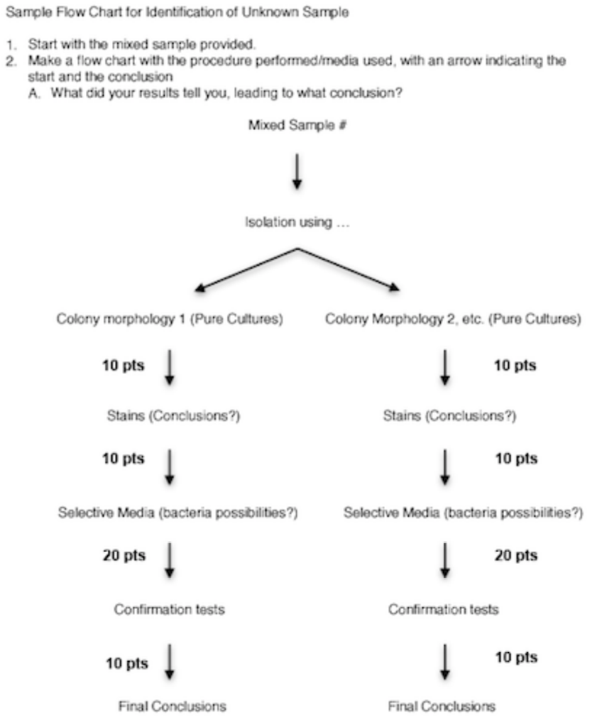 Solved Sample Flow Chart for Identification of Unknown | Chegg.com