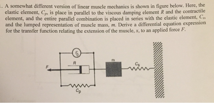 Solved A somewhat different version of linear muscle | Chegg.com