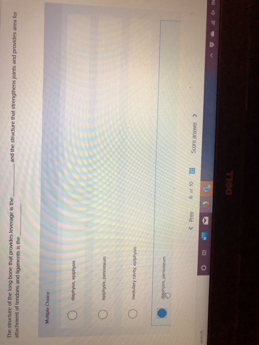 Solved The structure of the long bone that provides leverage | Chegg.com