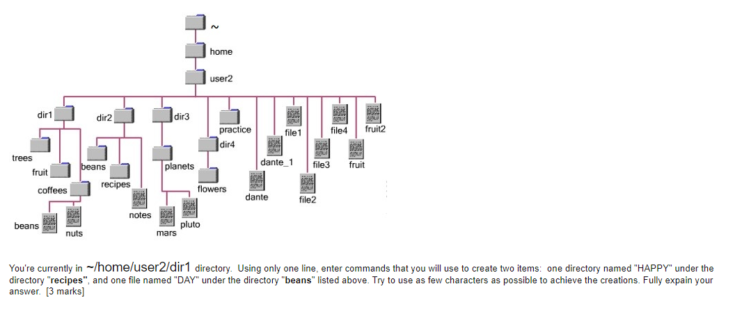 Solved home user2 dir1 dir2 dir3 practice file 1 file4 | Chegg.com