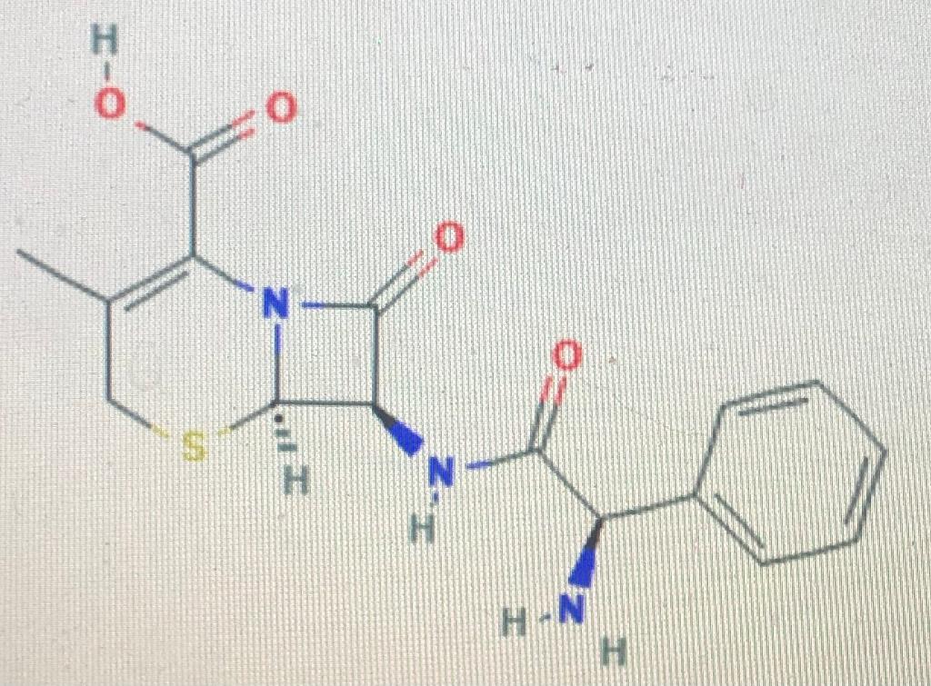 Solved Circle and identify the functional groups within | Chegg.com
