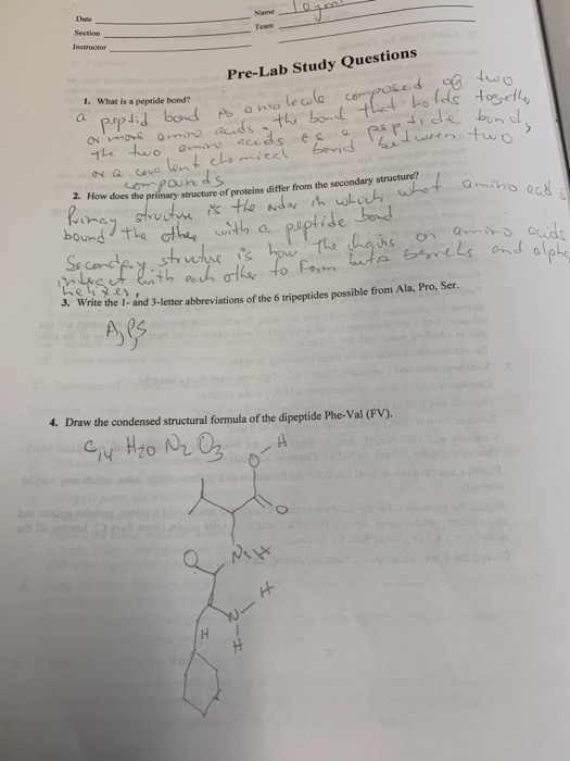 Solved Name Instrucsor Pre-Lab Study Questions 1. What is a | Chegg.com