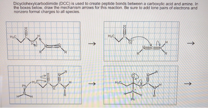 Solved Dicyclohexylcarbodiimide (DCC) is used to create | Chegg.com