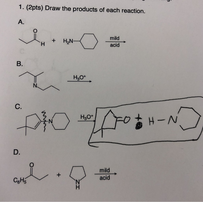 Solved 1. (2pts) Draw the products of each reaction. A. mild | Chegg.com
