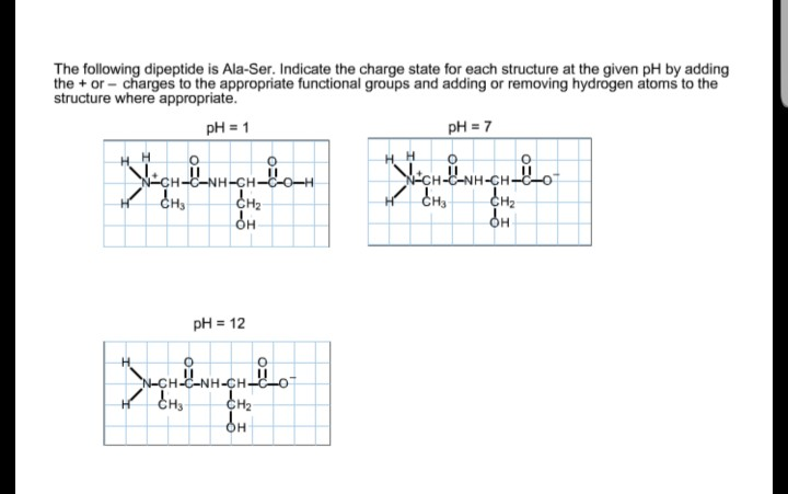 Solved The following dipeptide is Ala-Ser. Indicate the | Chegg.com