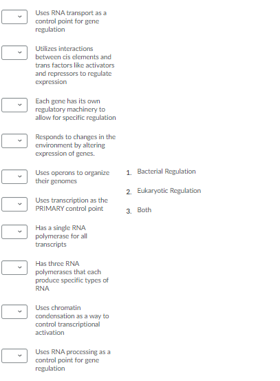 Solved Uses RNA transport as a control point for gene | Chegg.com