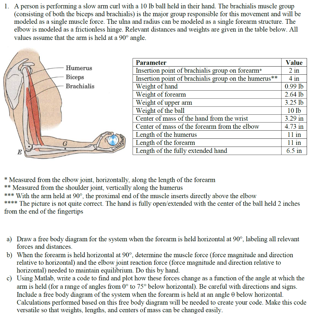 1. A person is performing a slow arm curl with a 10 | Chegg.com