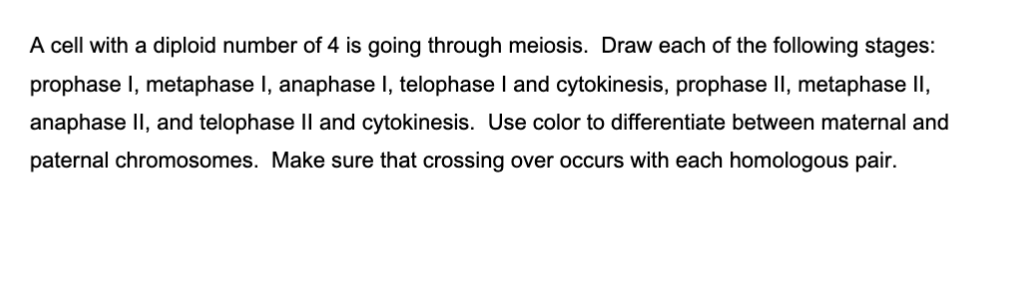 Solved A cell with a diploid number of 4 is going through | Chegg.com