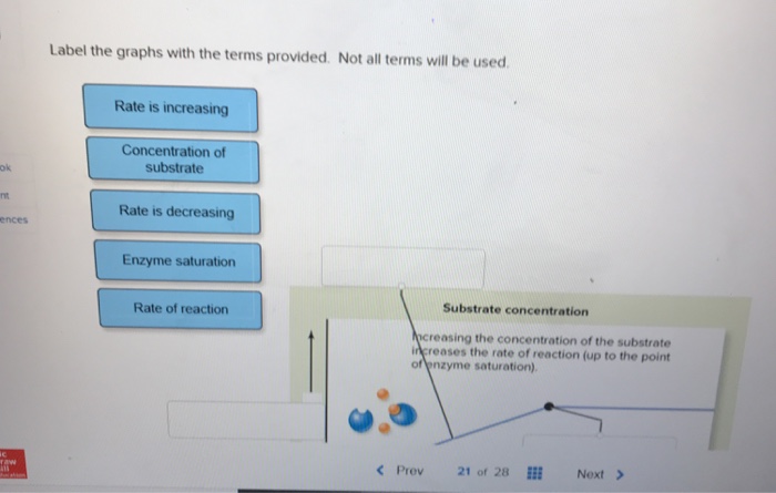 Solved Label the graphs with the terms provided. Not all | Chegg.com