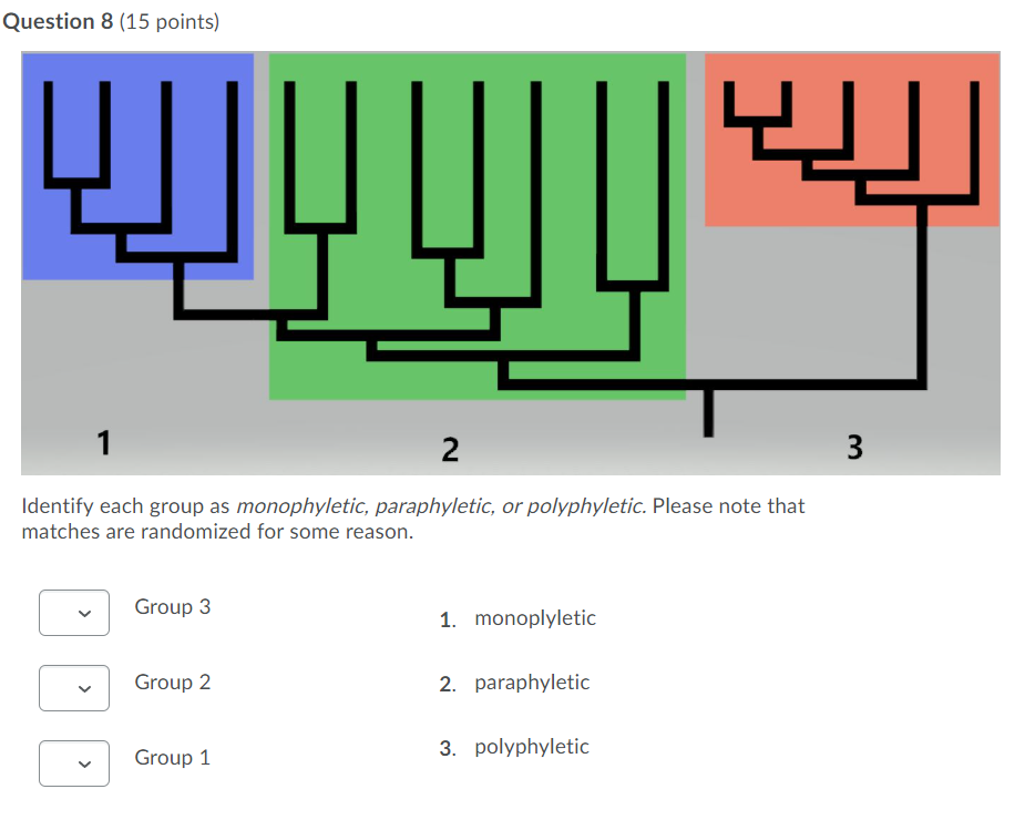 Solved Question 8 (15 points) 민 뵐 1 2 3 Identify each group | Chegg.com
