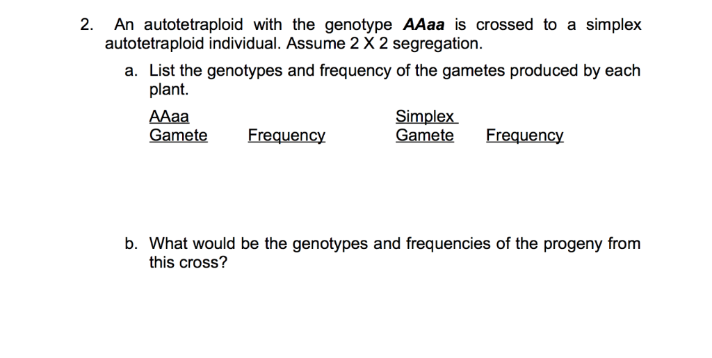 Solved 2. An autotetraploid with the genotype AAaa is | Chegg.com