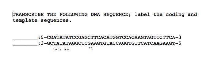 Solved TRANSCRIBE THE FOLLOWING DNA SEQUENCE; label the | Chegg.com
