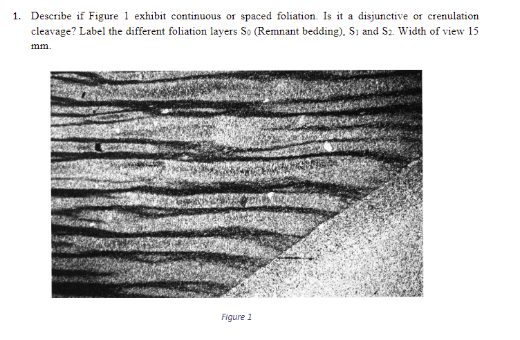Solved 1. Describe if Figure 1 exhibit continuous or spaced | Chegg.com