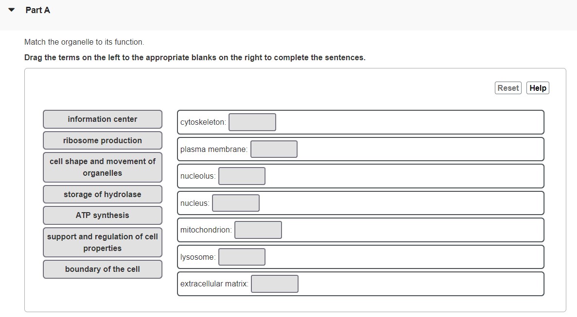 Solved Match the organelle to its function. Drag the terms | Chegg.com Solved Match the organelle to its function. Drag the terms | Chegg.com