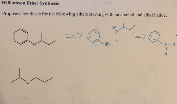 Solved Williamson Ether Synthesis Propose a synthesis for | Chegg.com