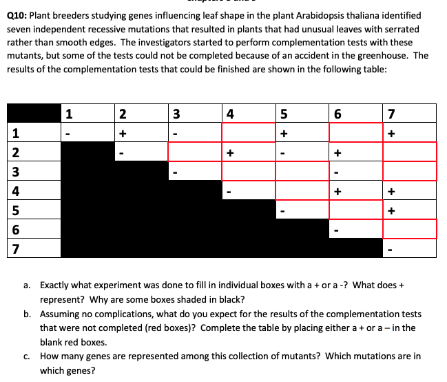 Solved Q10: Plant breeders studying genes influencing leaf | Chegg.com