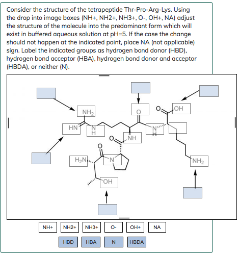 Solved Consider the structure of the tetrapeptide | Chegg.com
