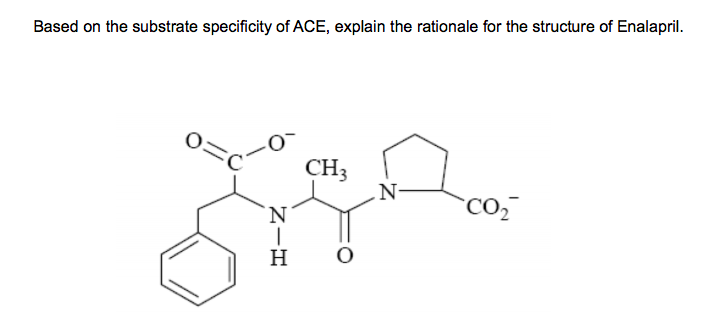 Solved Based on the substrate specificity of ACE, explain | Chegg.com