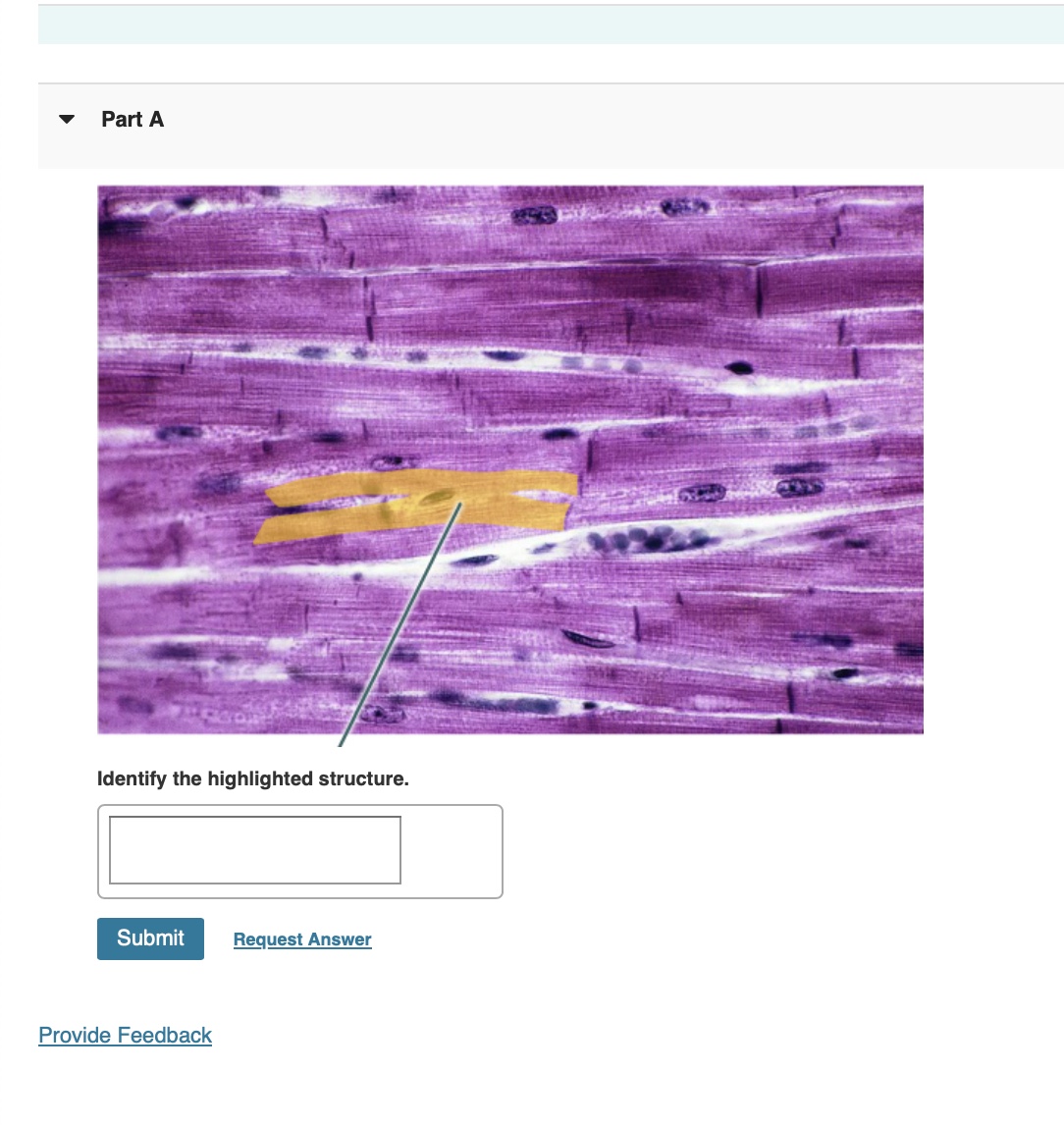 Solved Identify the highlighted structure. | Chegg.com