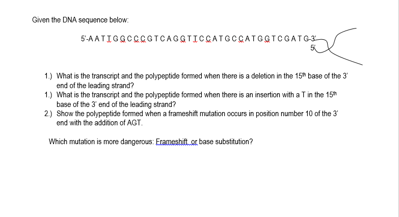 Solved Given the DNA sequence below: | Chegg.com