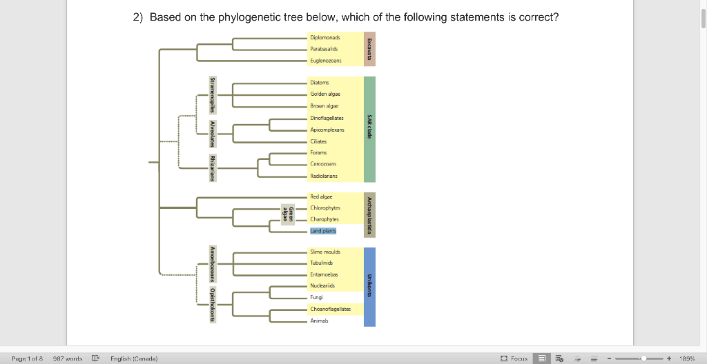 Solved The most recent common ancestor of Excavata is older | Chegg.com