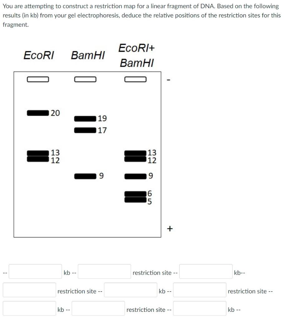 Solved You are attempting to construct a restriction map for | Chegg.com